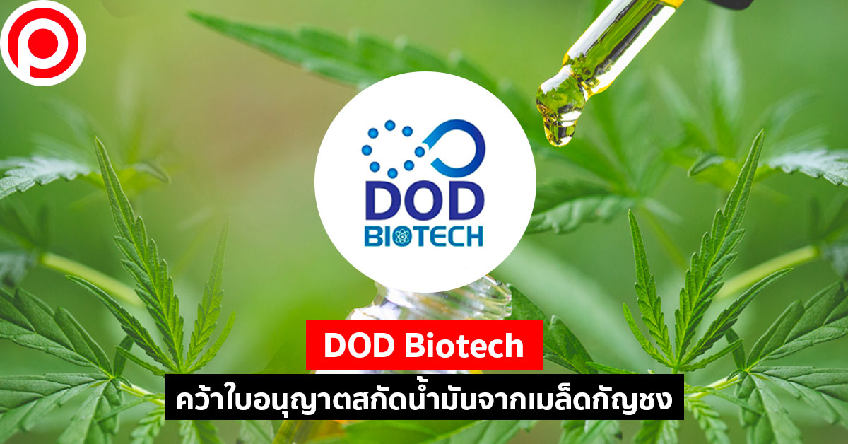 DOD Biotech คว้าใบอนุญาตสกัดน้ำมันจากเมล็ดกัญชง ลุยขึ้นทะเบียนสินค้าให้ ...