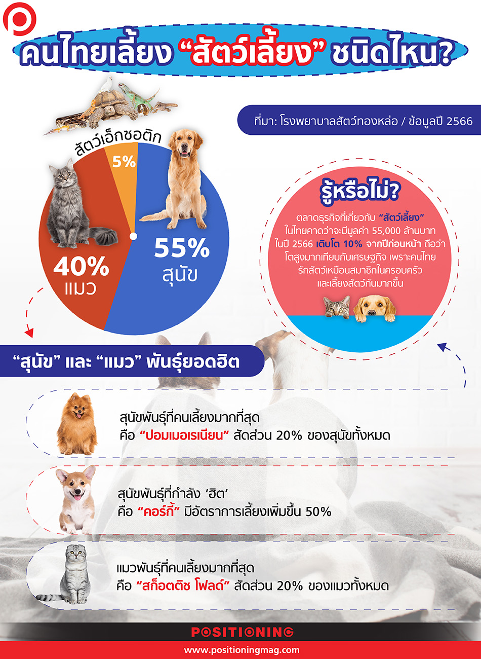 Print | Positioning Magazine