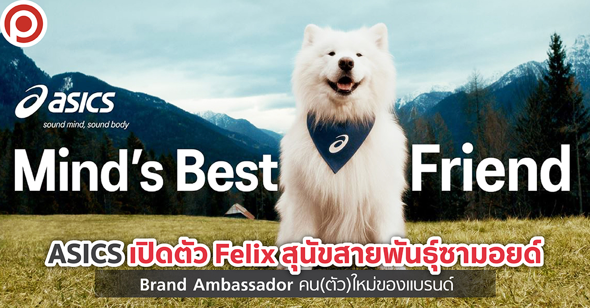 ASICS เปิดตัว Felix สุนัขสายพันธุ์ซามอยด์ Brand Ambassador คน(ตัว)ใหม่ ...